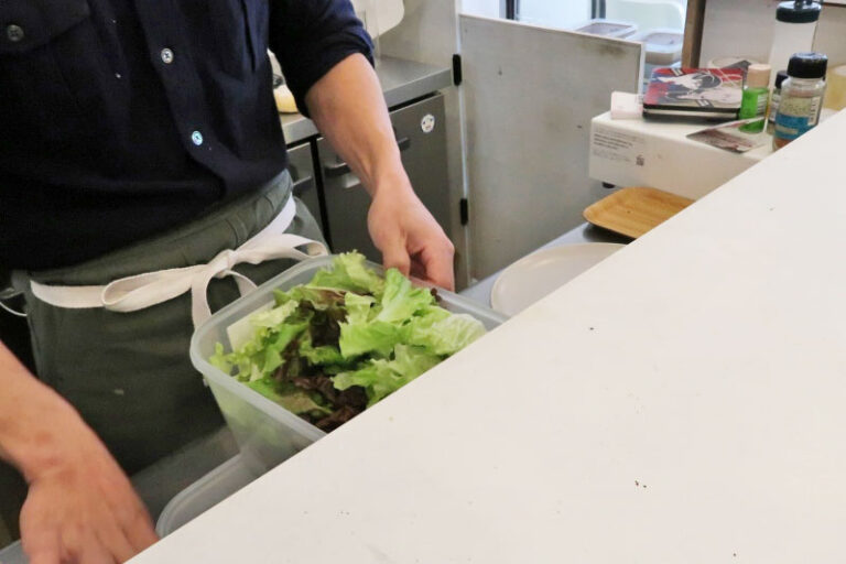 庄内西町にある「HAKOBUNE CAFE」で「cafe toi toi（トイトイ）」が間借りオープンしてる／8月ごろまでの期間限定のお店で具沢山キッシュとたっぷり野菜のランチプレートを食べて ...